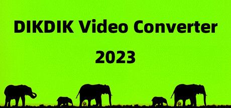 DIKDIK Video Converter 시스템 요구 사항 2026 - PC 테스트 🎮