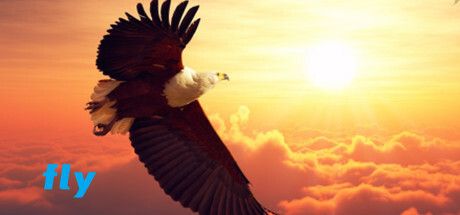 fly Requisitos Mínimos e Recomendados 2025 - Teste seu PC 🎮