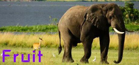 Fruit System Requirements — Can I Run Fruit on My PC?